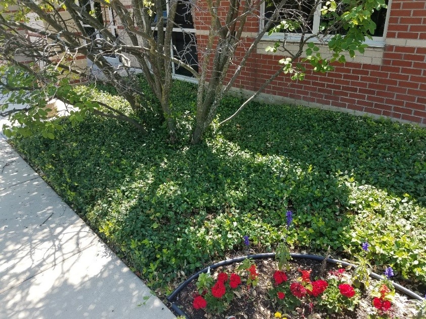 Cook County Farm Bureau | Centennial Legacy Patio to be Created to ...